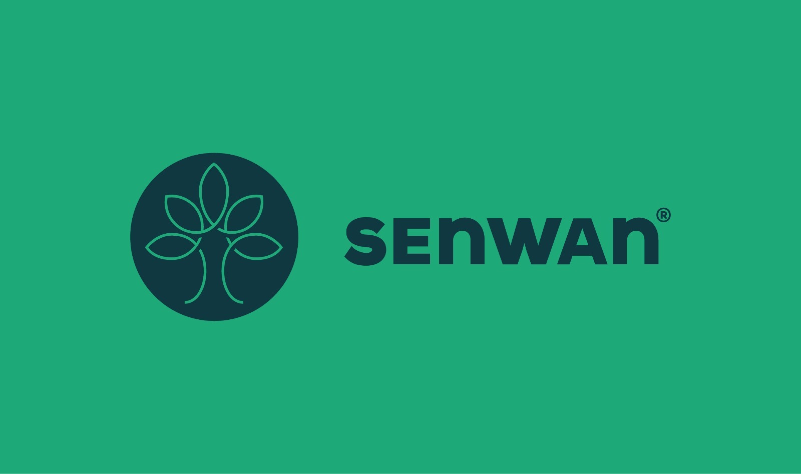 Senwan Group | Odoo